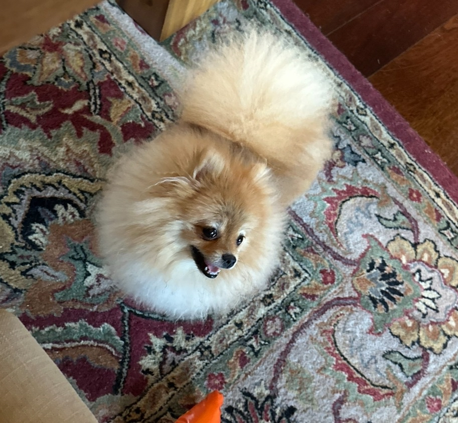 Mathew Lam | Portfolio